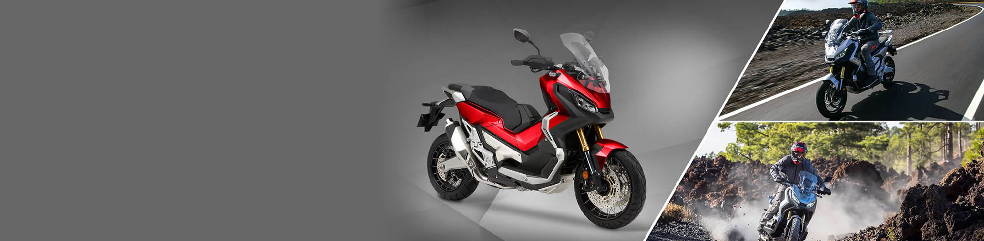 Home - Mototecnica Online